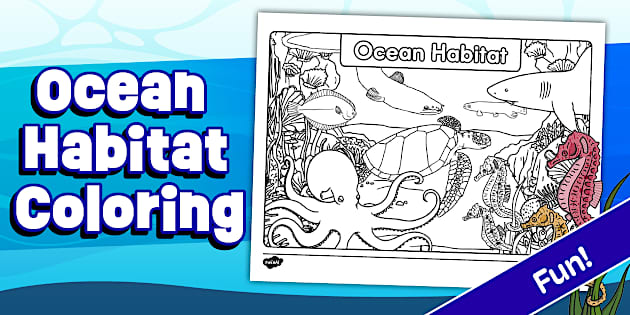 Ocean Habitat Coloring Page (Hecho por educadores) - Twinkl