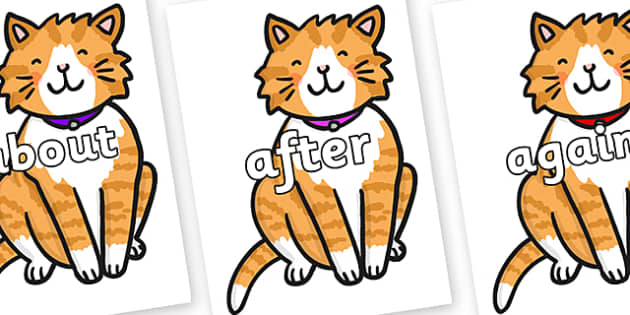 KS1 Keywords on Cat (teacher made) - Twinkl