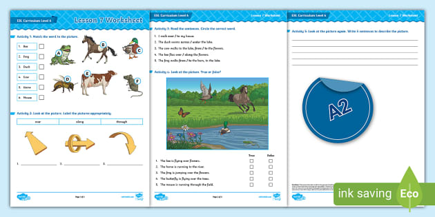 ESL Curriculum Level 6, Lesson 7 Worksheet (teacher made)