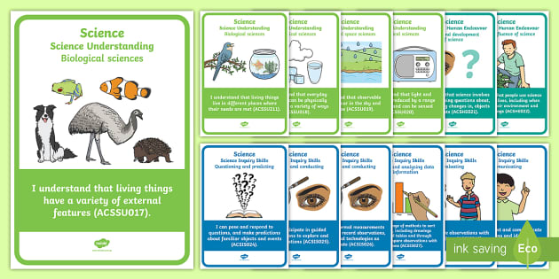 Australia Year 1 Science Targets Display Posters - Twinkl