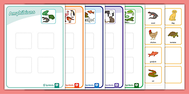 Twinkl Symbols: Classifying Animals Sorting Activity (Lesson 6) Twinkl Symbols: Classifying Animals Sorting Activity (Lesson 6)