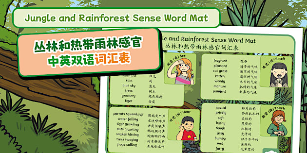 Jungle and Rainforest Sense Word Mat English Mandarin Chinese