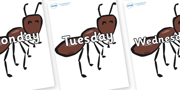 Days of the Week on Ants (teacher made) - Twinkl