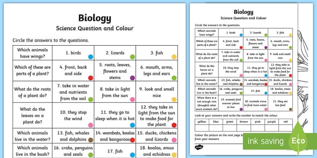 Year 1 Biological Science Questions and Colouring Worksheet / Worksheets Year 1 Biological Science Questions and Colouring Worksheet / Worksheets