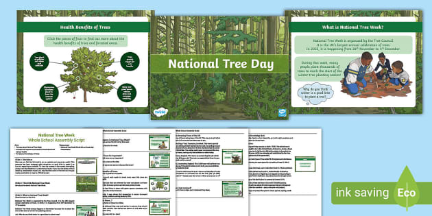 National Tree Week Whole School Assembly Pack (teacher made)