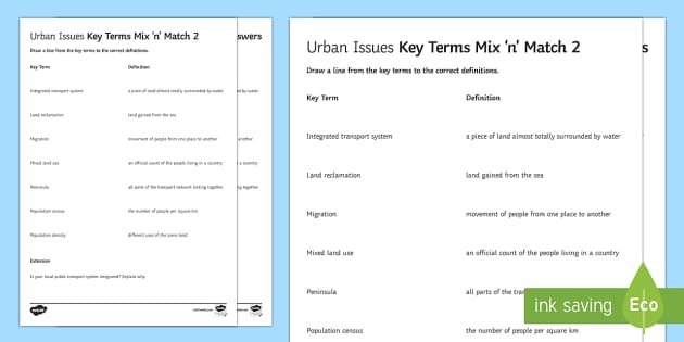 Urban Issues Mix and Match 2 Worksheet / Worksheet