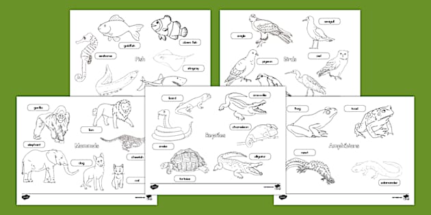 Animal Groups Coloring Sheets (Hecho por educadores)