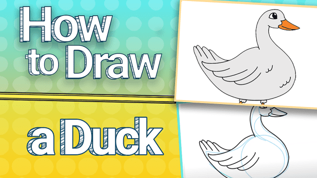 How to Draw a Duck | Twinkl Kid's TV (teacher made)