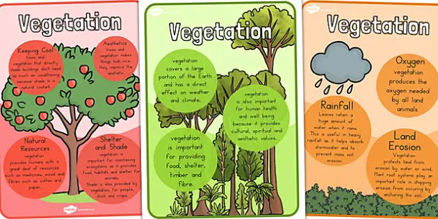 Types Of Natural Vegetation | ppgbbe.intranet.biologia.ufrj.br