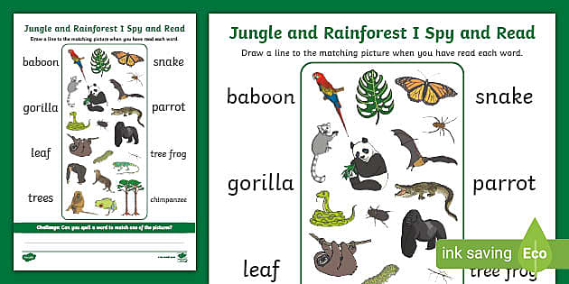 Jungle and Rainforest I Spy and Read: Phase 5 Phonics Activity