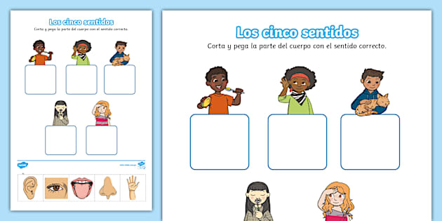 Actividad para cortar y pegar: Los cinco sentidos | Twinkl