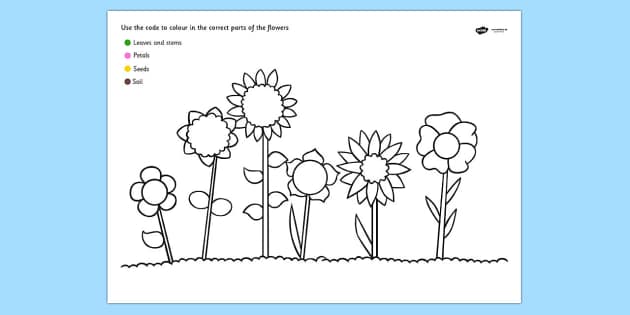 Colour Code Colouring Flowers Sheet (teacher made) - Twinkl