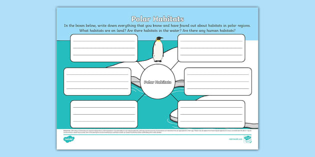 Polar Habitats Mind Map (creat de profesori) - Twinkl