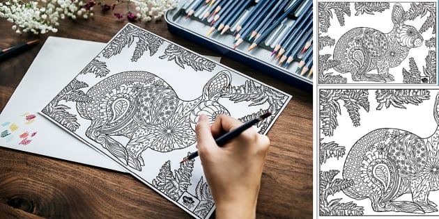 Rabbit Mindfulness Colouring Page | Twinkl Party - Twinkl