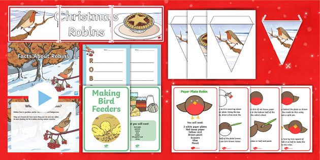 Robins Resource Pack (teacher made) - Twinkl