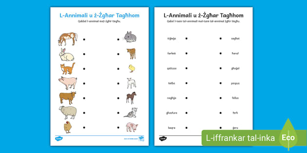Karta tal-Attività: Qabbel l-Annimali maż-Żgħar Tagħhom