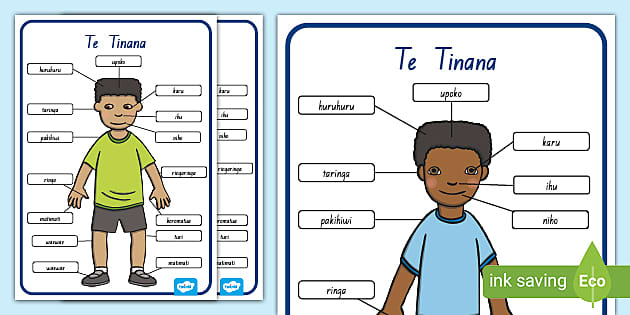 Parts of the Body A4 Te Reo Maori