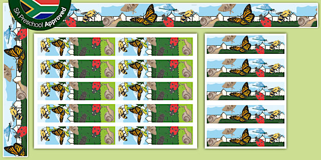 * NEW * Insect-Themed Display Borders - Twinkl