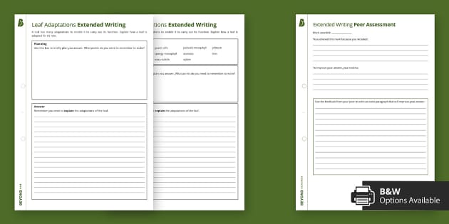 Leaf Adaptations Extended Writing | KS3 Biology | Beyond