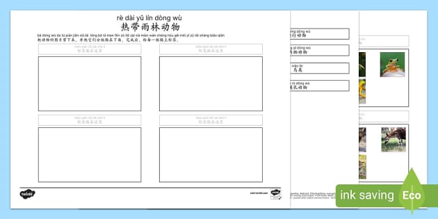 *Chinese with Pinyin Rainforest Animals Sorting Worksheet*
