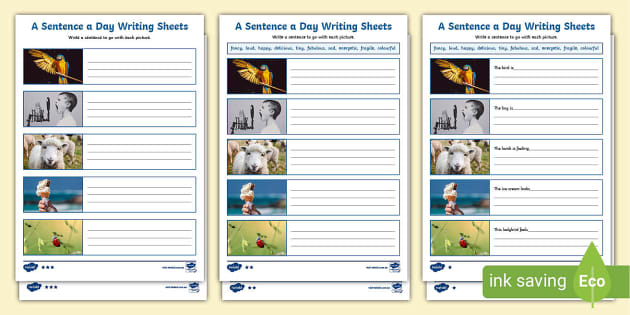 Daily Sentence Practice | Australian Primary Resources