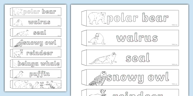 Arctic Animals Handwriting Paper Chain Activity - Twinkl