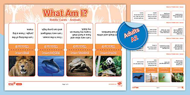 ESL What am I? Riddles (teacher made) - Twinkl