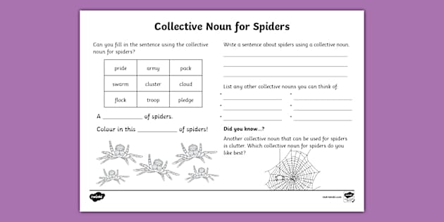 Collective Noun for Spiders Worksheet