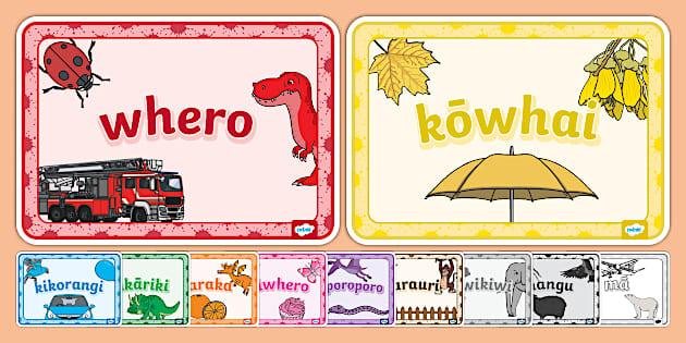 Māori Language Week Colour Sorting Activity - Twinkl