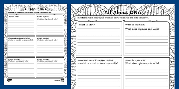 All About DNA Graphic Organizer for 6th-8th Grade - Twinkl