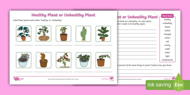 Y2 Healthy Plant or Unhealthy Plant Activity Sheet - Twinkl