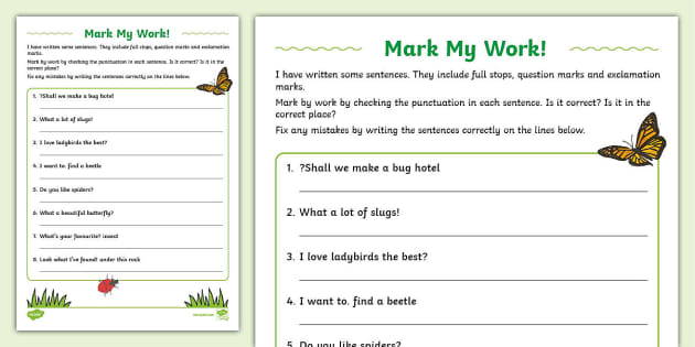 Minibeasts Mark My Work! Demarcating Sentences - Twinkl
