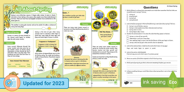 LKS2 Spring Differentiated Reading Comprehension - Twinkl