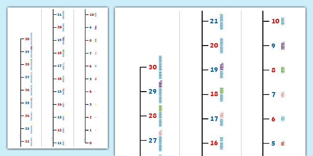Vertical 0 to 30 with Number Shapes Number Line