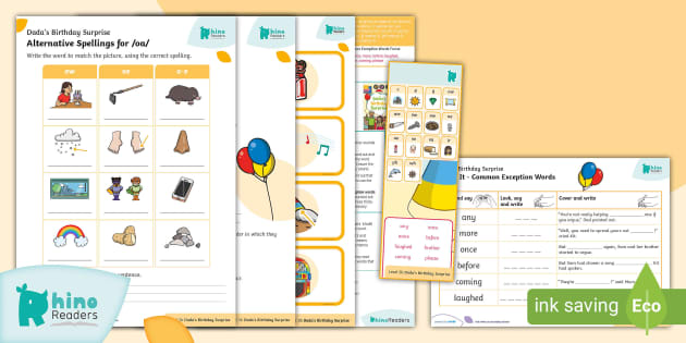 5b Dada's Birthday Surprise: Resource Pack - Rhino Readers