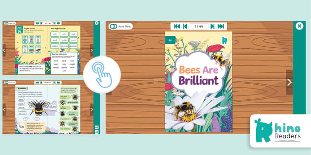 Level 6c Decodable Readers: Bees Are Brilliant - Twinkl