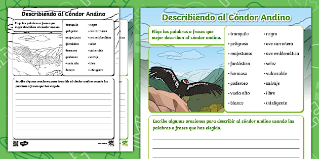 Actividad de Descripción: Cóndor (profesor hizo) - Twinkl