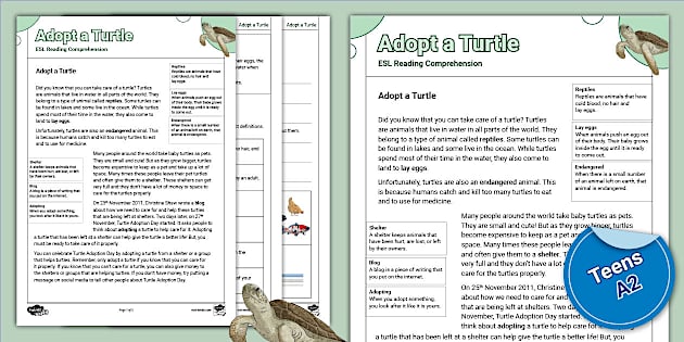 * NEW * ESL Adopt a Turtle Reading Comprehension - Twinkl