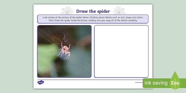 * NEW * Draw the Spider Art Activity, How to draw a spider
