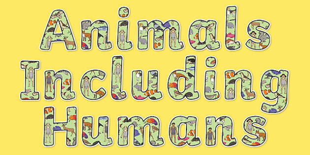 Animals Including Humans Display Lettering (teacher made)