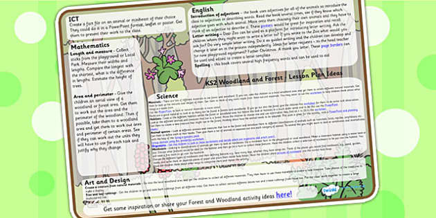 Forest and Woodland Lesson Plan Ideas KS2 - Twinkl