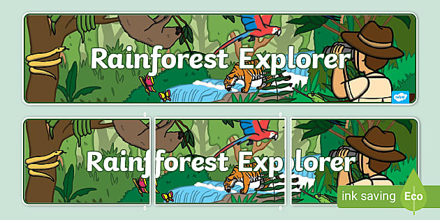 Rainforest Explorer Role Play Display Banner (teacher made)