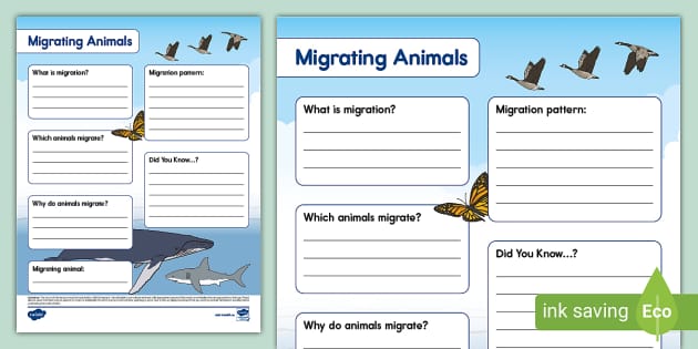 Migrating Animals Fact File Template (creat de profesori)
