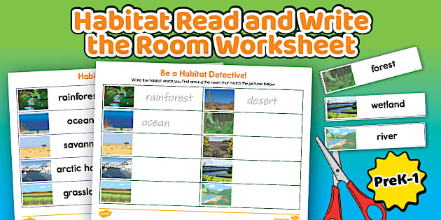 Habitats Read and Write the Room Worksheet (teacher made)