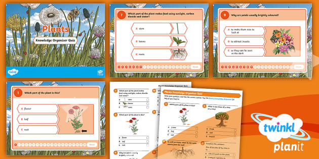 Science: Plants: Year 3: Knowledge Organiser Quiz Pack