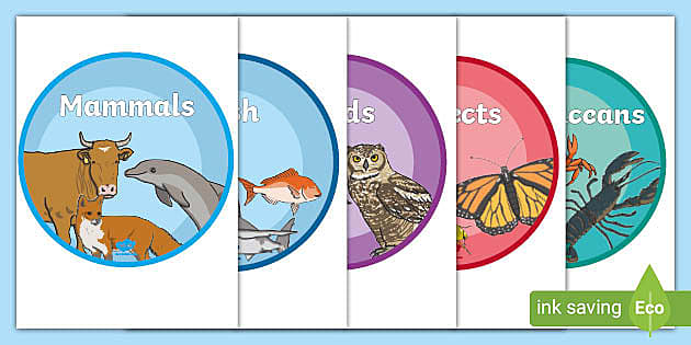 👉 Classroom Bubbles Animal Themed Door Signs Display Posters