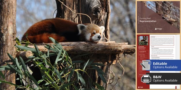 GCSE Media Case Study - Turning Red Lesson 4: Representation