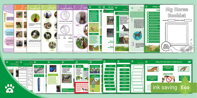 My Horse Booklet - Lapbook Creation Pack - Twinkl Pets