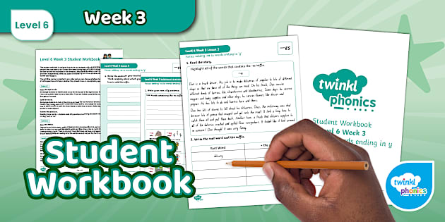 Twinkl Phonics Adding -es to Words Ending in 'y' - Level 6 Week 3 Workbook