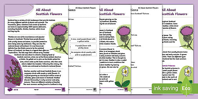 All About Scottish Flowers Differentiated Reading Comprehension